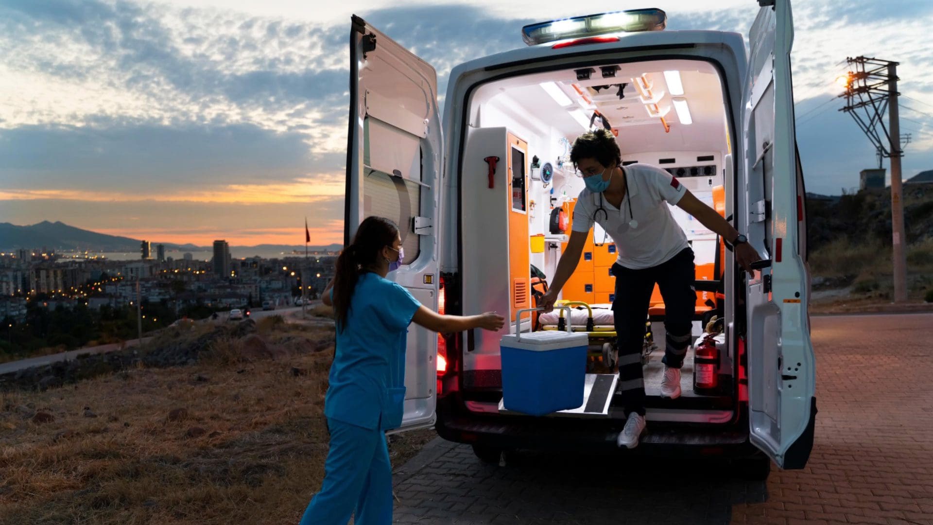 Organ Transport | Elite EXTRA