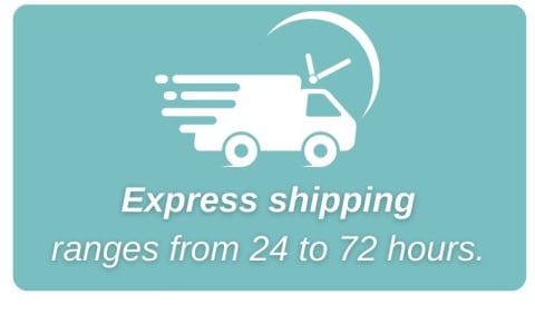 From Economy to Express: A Guide for Shipping Timeframes | Elite EXTRA